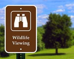 Scenic View Signs